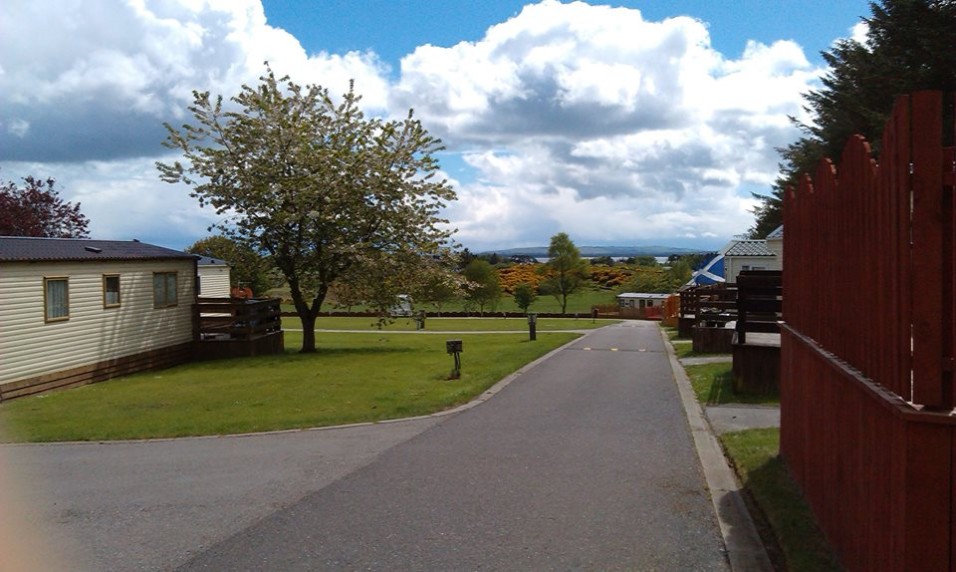 static-caravan-and-tree-sea-view - DORNOCH HOLIDAY PARK